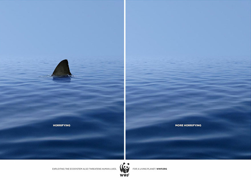 wwf save shark Ads – Wander More